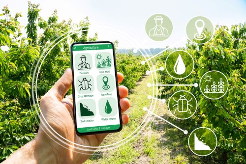 Controlled Environment Agriculture - Ryan Watson Consulting Controlled Environment Agriculture - Ryan Watson Consulting